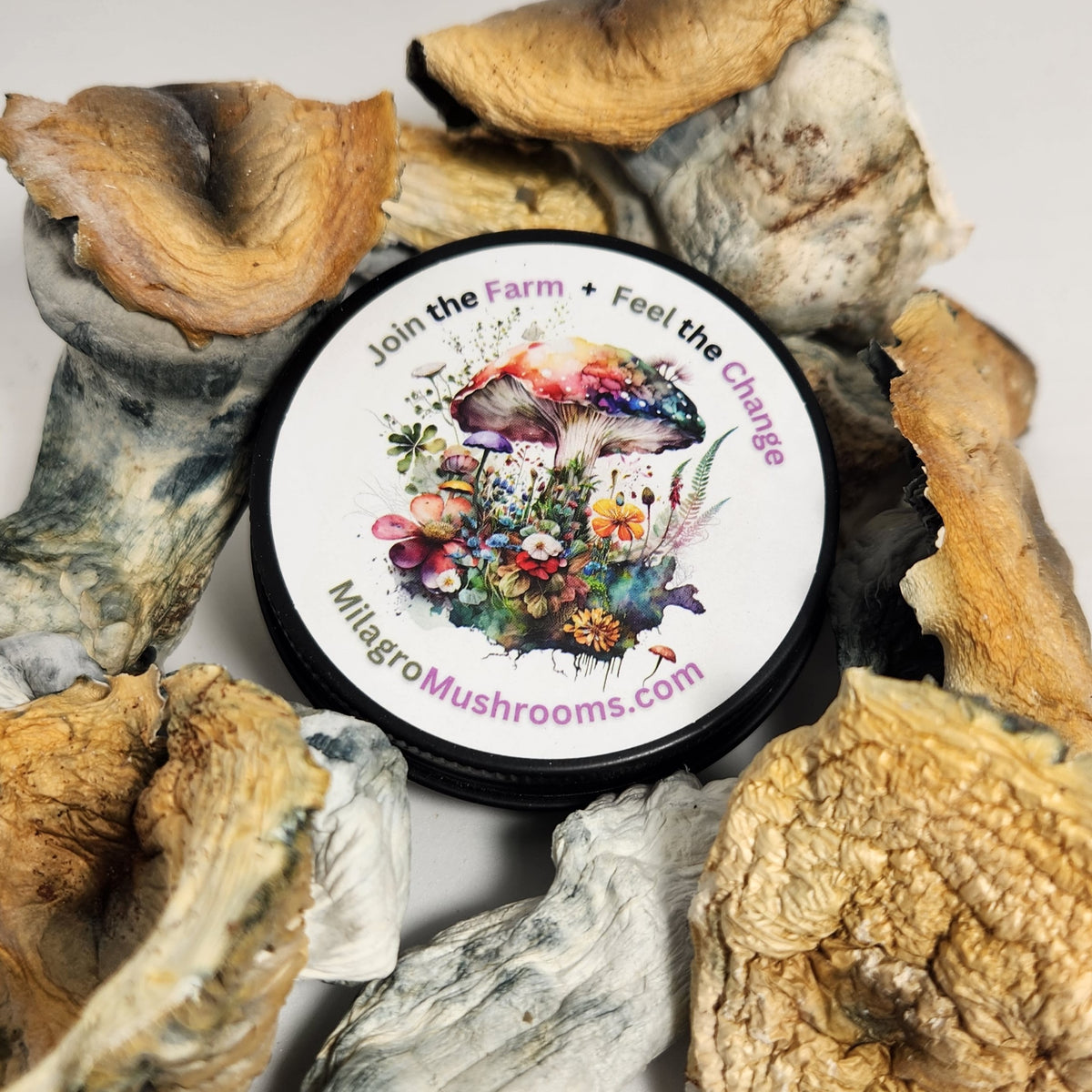 Microdosing Psilocybin: Low, Moderate & Hero Dose Guide | Milagro Mushrooms